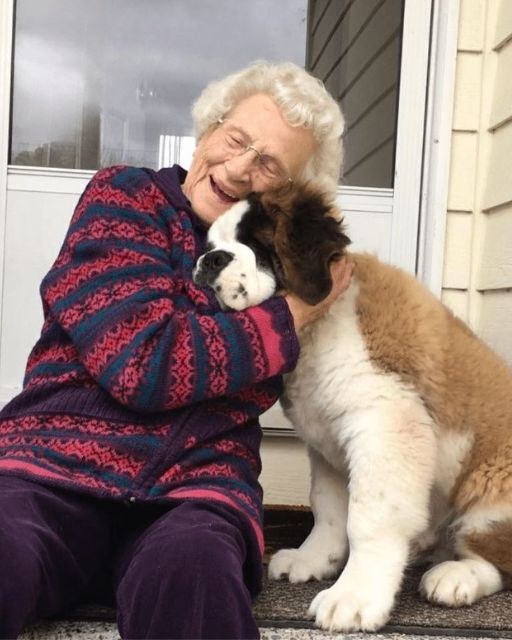 BOY HEARS DOG BARKING FOR TWO DAYS STRAIGHT—WHAT HE FINDS INSIDE ...