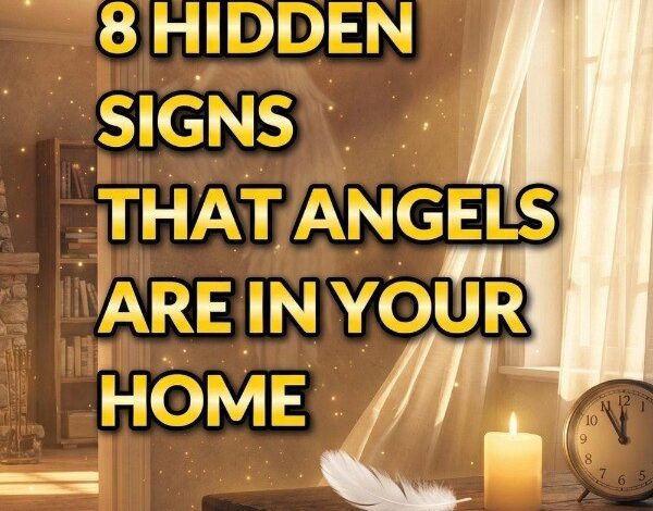 8 Subtle Signs That Angels May Be Present in Your Home – LifevibeSever