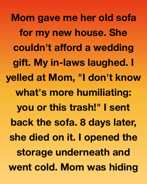 She Said: “I Don’t Know What’s More Humiliating: You Or This Trash ...